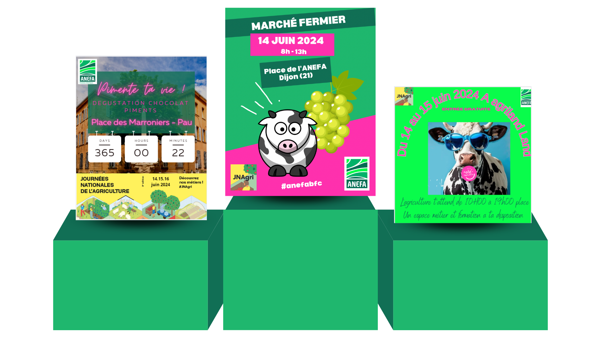 Séminaire équipe ANEFA : deux jours pour faire réseau - ANEFA