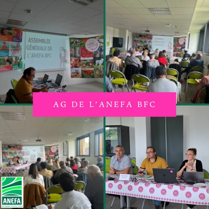 Assemblée 2024 : Assemblée Générale de l'ANEFA BFC - ANEFA