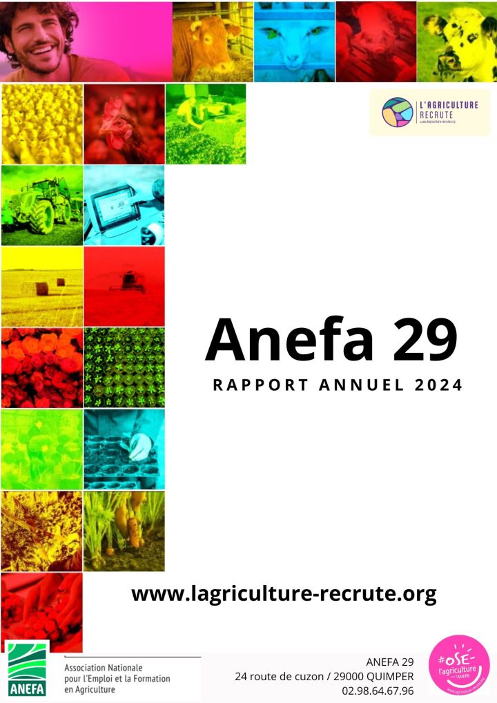RAPPORT D'ACTIVITÉ 2024 - ANEFA Finistère