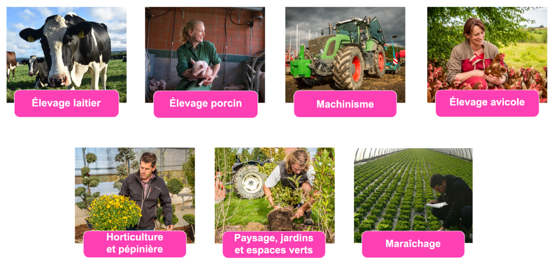 Découverte des métiers - ANEFA Morbihan