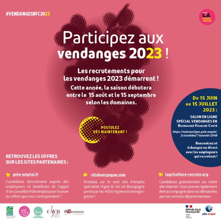 Participez aux vendanges 2023 ! - ANEFA Bourgogne-Franche-Comté