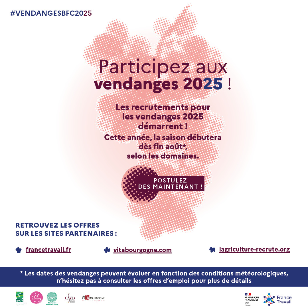 Vendanges 2025 ! - ANEFA Bourgogne-Franche-Comté