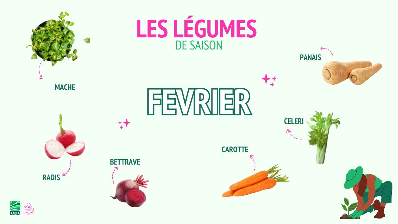 Février : Quels sont les fruits et légumes de saison ? - ANEFA Charente